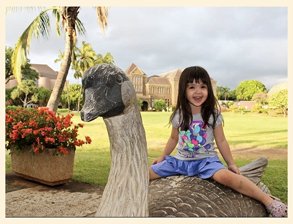 About | Friends Of Ken Inouy