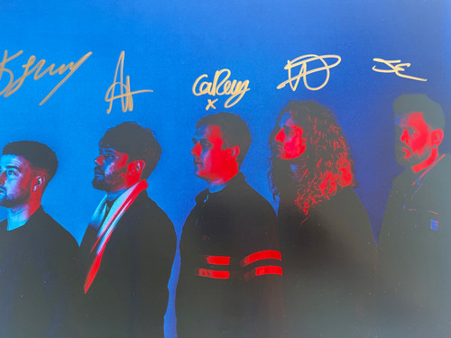 A3 Signed Print | The Rosadocs