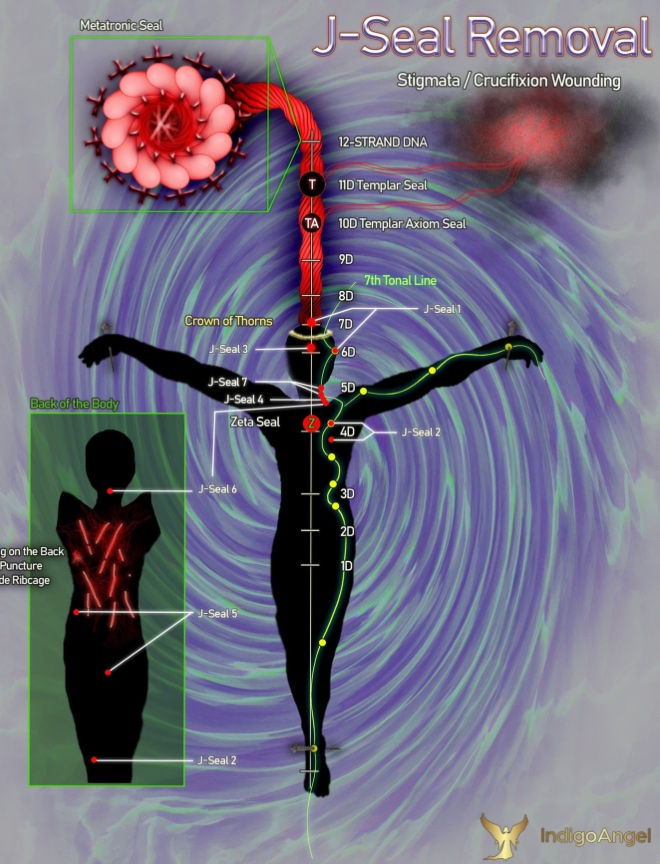 EXPLORING THE ALTA MAJOR CHAKRA ~ "CHAKRA OF GOD" THE MEDULLA OBLONGATA ...