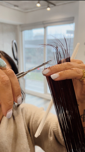 Hair Salon Downtown Toronto | Evolve Hair Studio