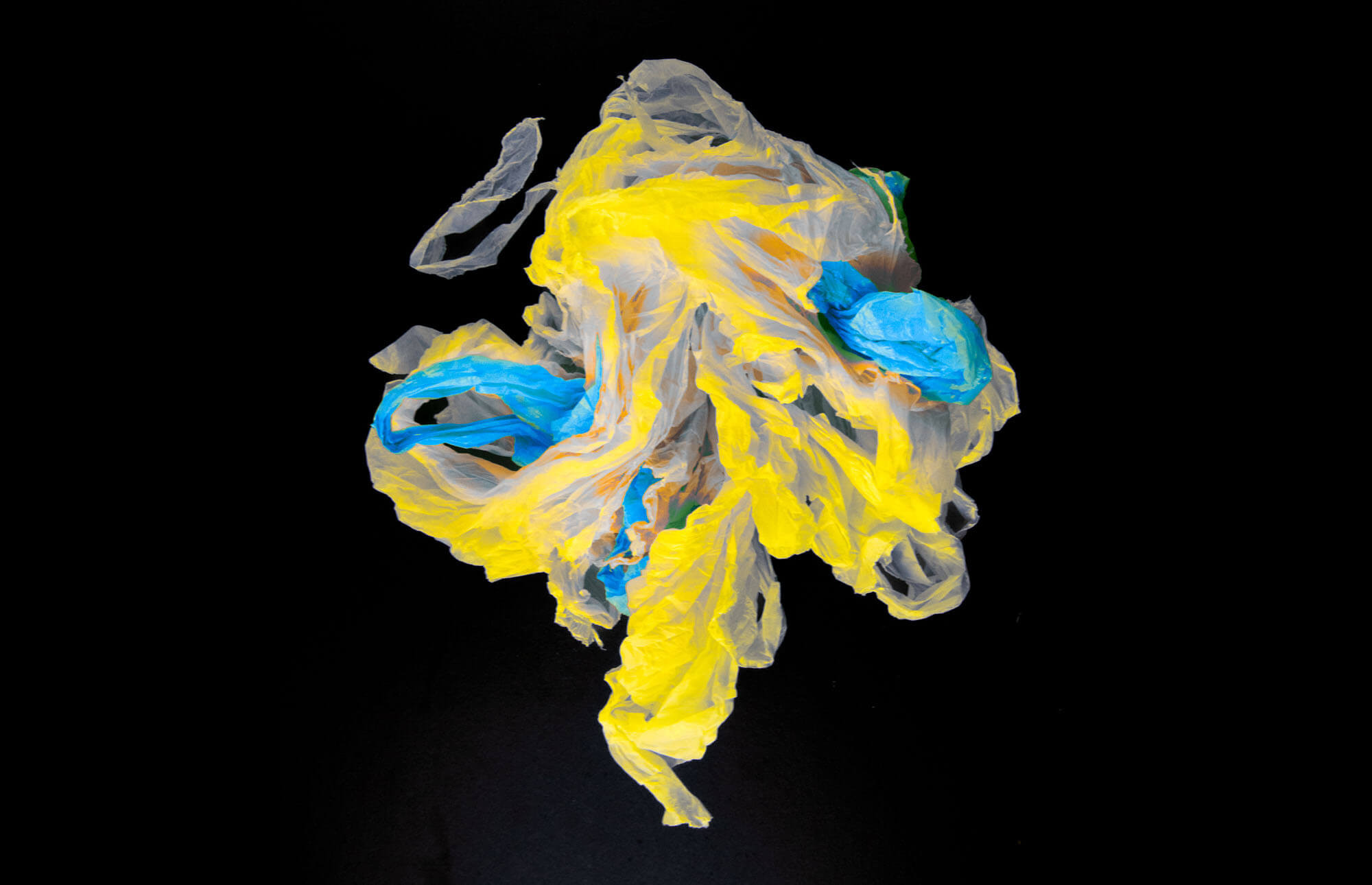 Visual artist | Madhvee Deb