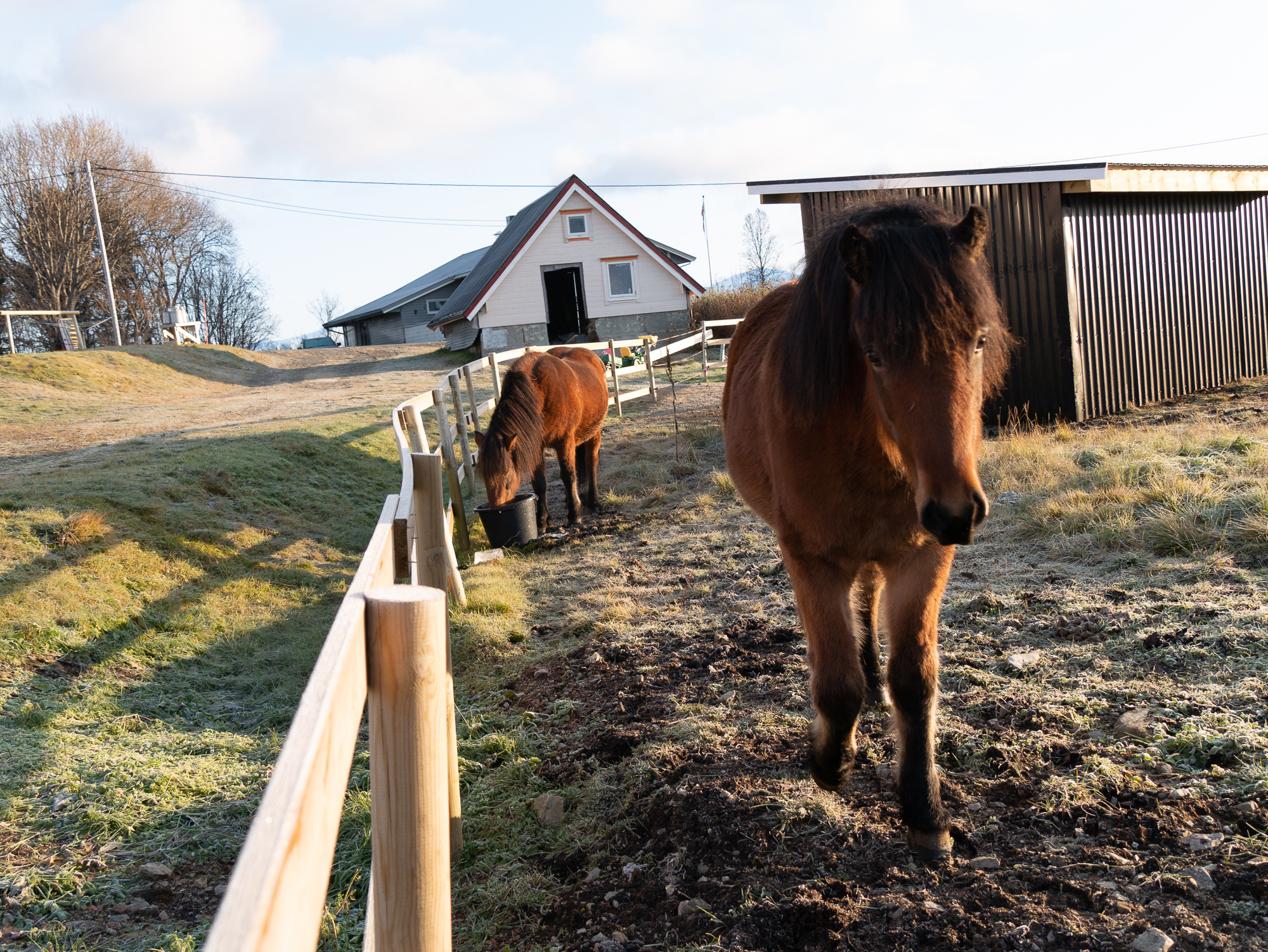 Sollund Farm in Norway
