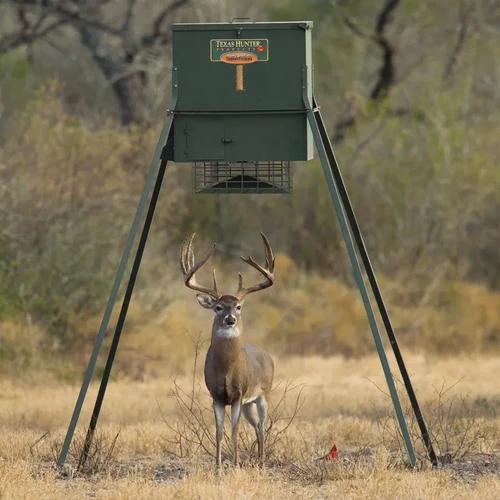 Texas Hunter 650 lb. Trophy Deer Feeder with 8' Legs | Premium Feeds