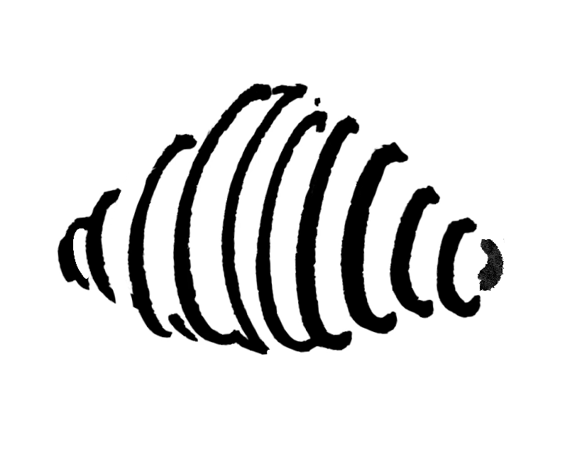 Lannan | Bakery & Pantry in Stockbridge, Edinburgh