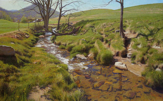 WATER | Luke Allsbrook