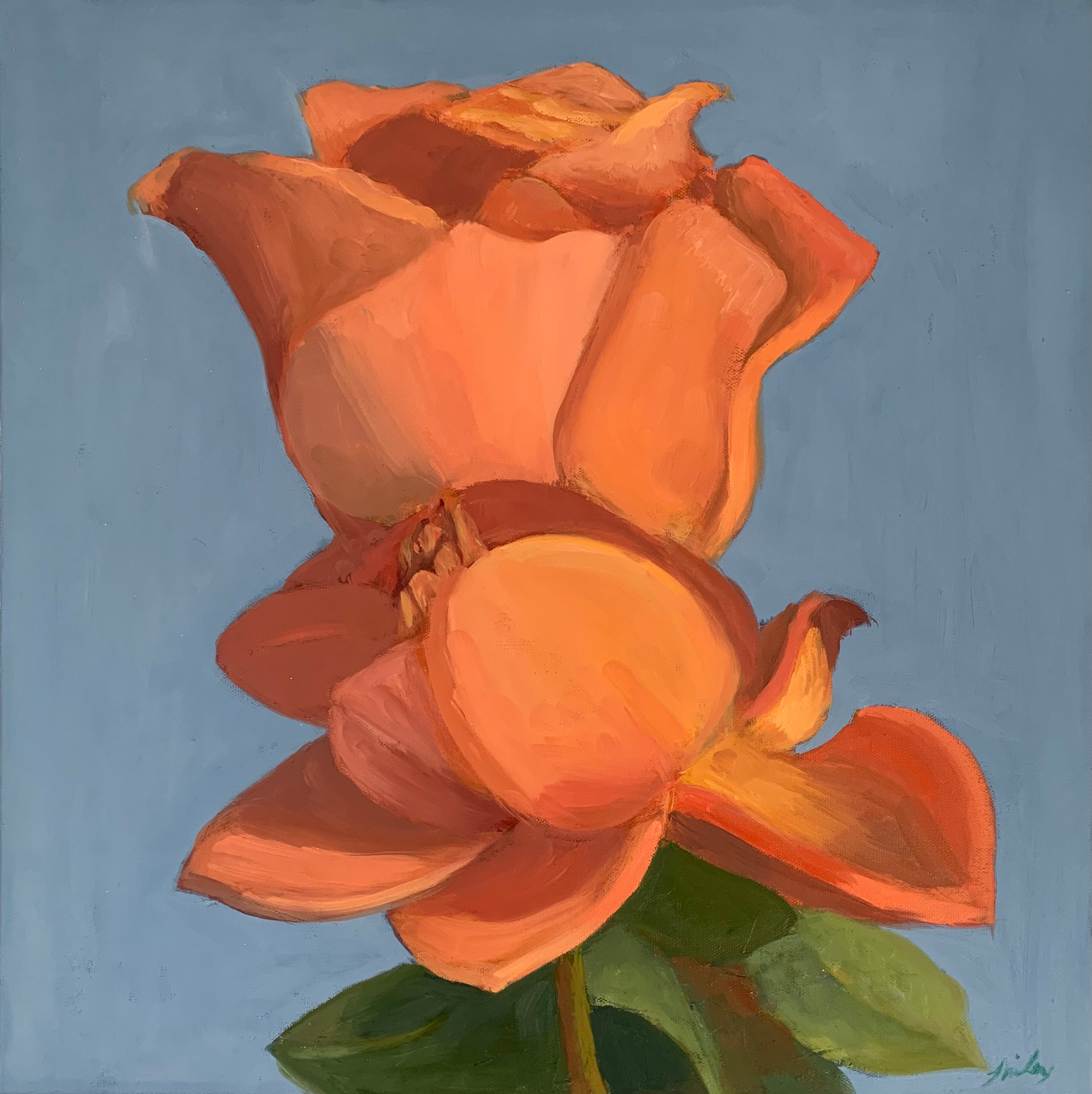 Still Lifes | Liz Finley Oil Paint