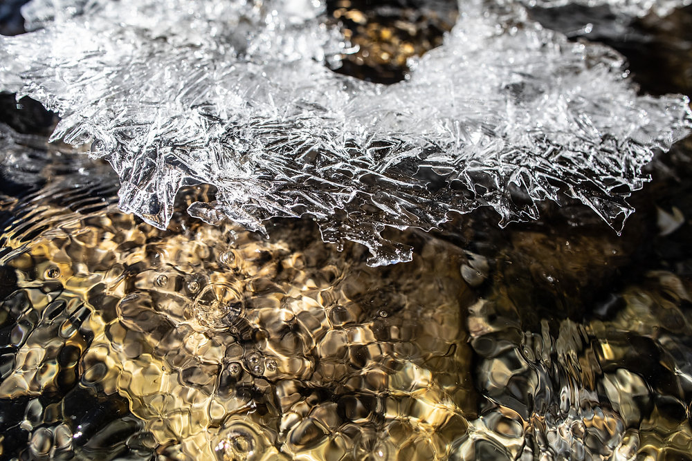 The Origin of Water on Earth: Scientific Theories and Discoveries