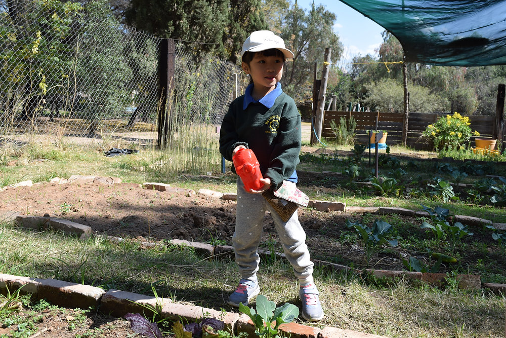 MLS School Trip 2020