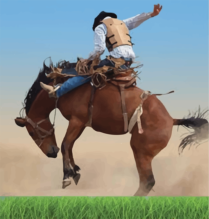 Bronco Turf | artificial grass | Simi Valley, CA, USA