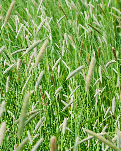 Timothy - Climax | Mysite