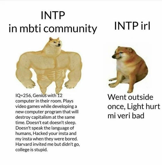 Sporadic dose of memes Pt. 950 | The Thwap House