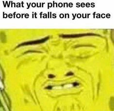 Sporadic dose of memes Pt. 850 | The Thwap House