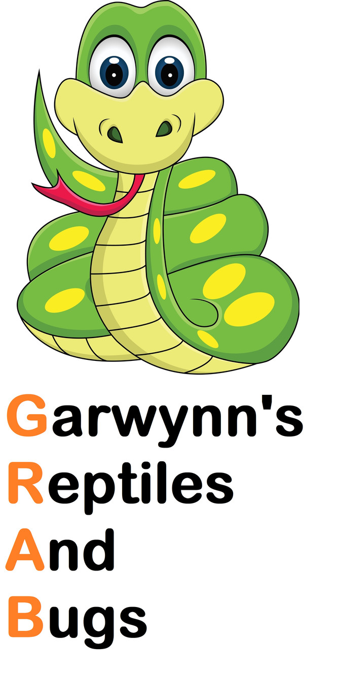 Handling Sessions | Somerset | GRAB - Garwynn's Reptiles And Bugs