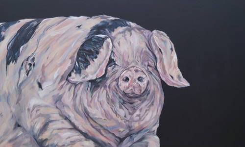 Old Spot | Sam Fenner Art