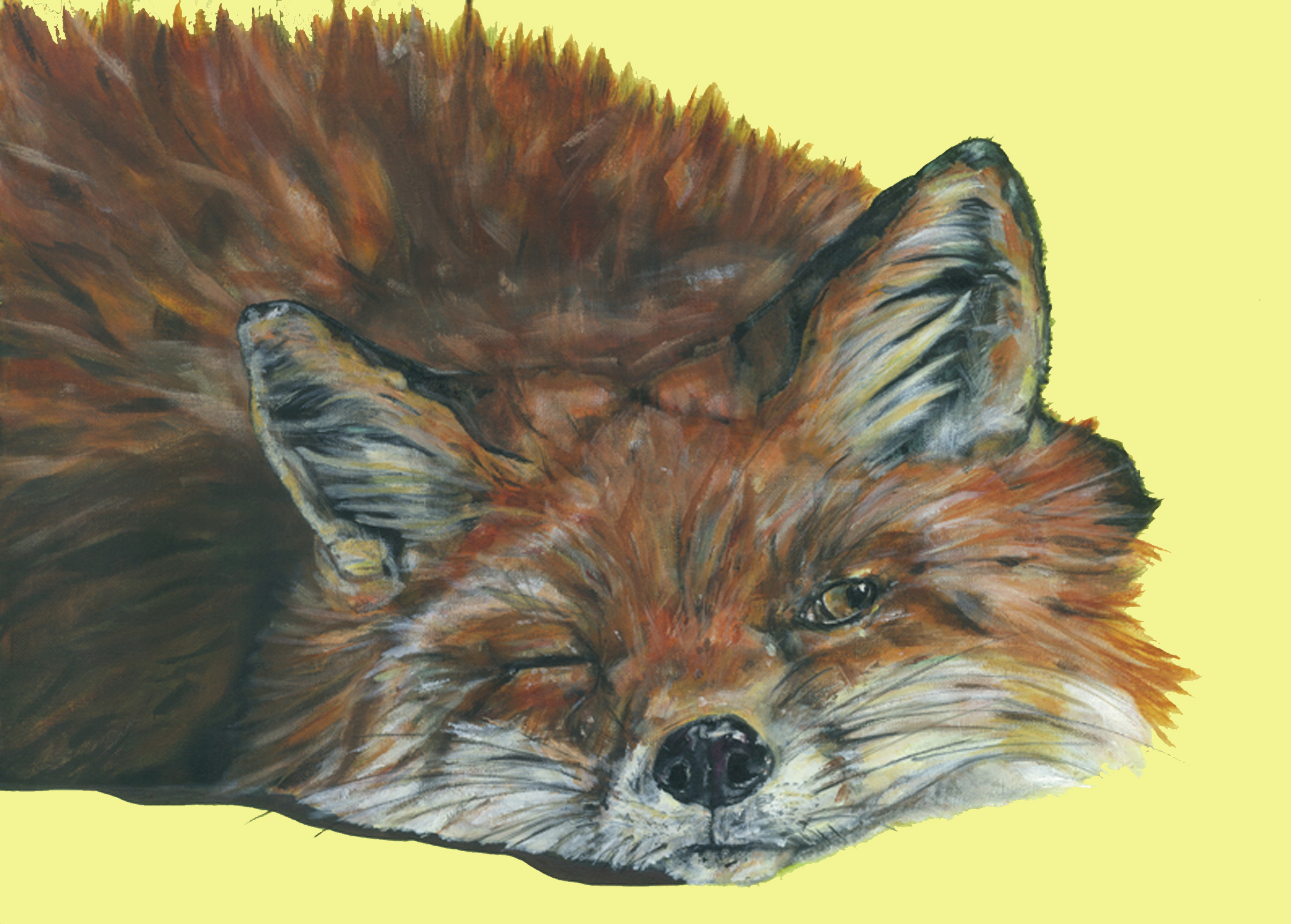 Quirky Animal Paintings | www.samfennerart.co.uk | Worcester