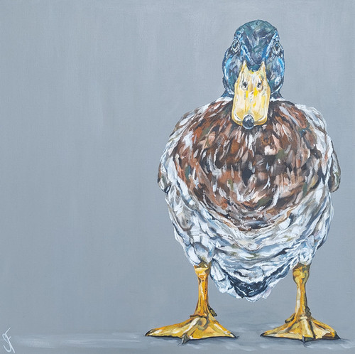 'WHAT THE?' Original Duck Painting | Sam Fenner Art