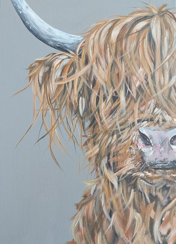 Coo Coo Cachoo: Charming Hairy Scottish Cow Original Painting