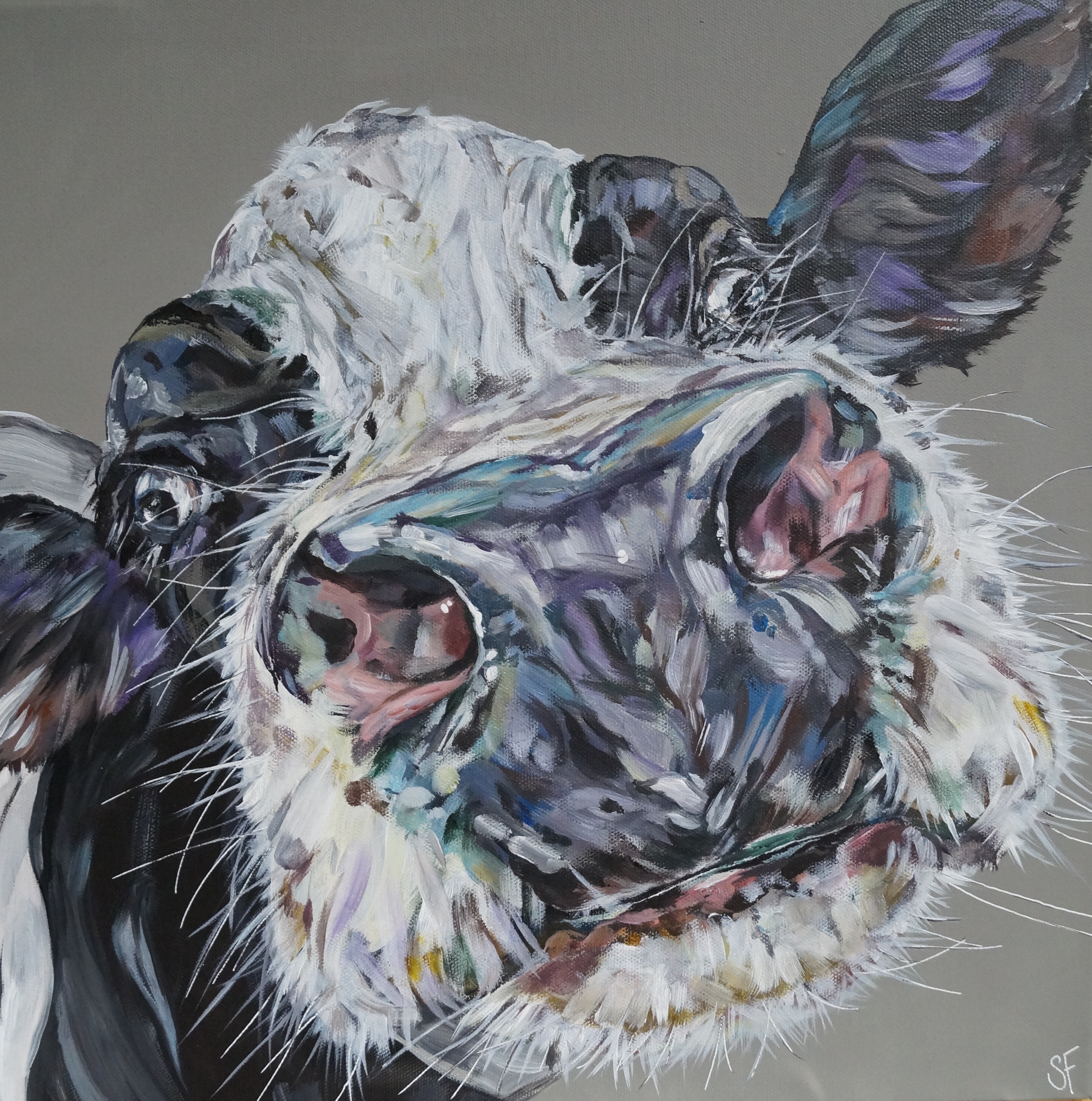 Quirky Animal Paintings | www.samfennerart.co.uk | Worcester