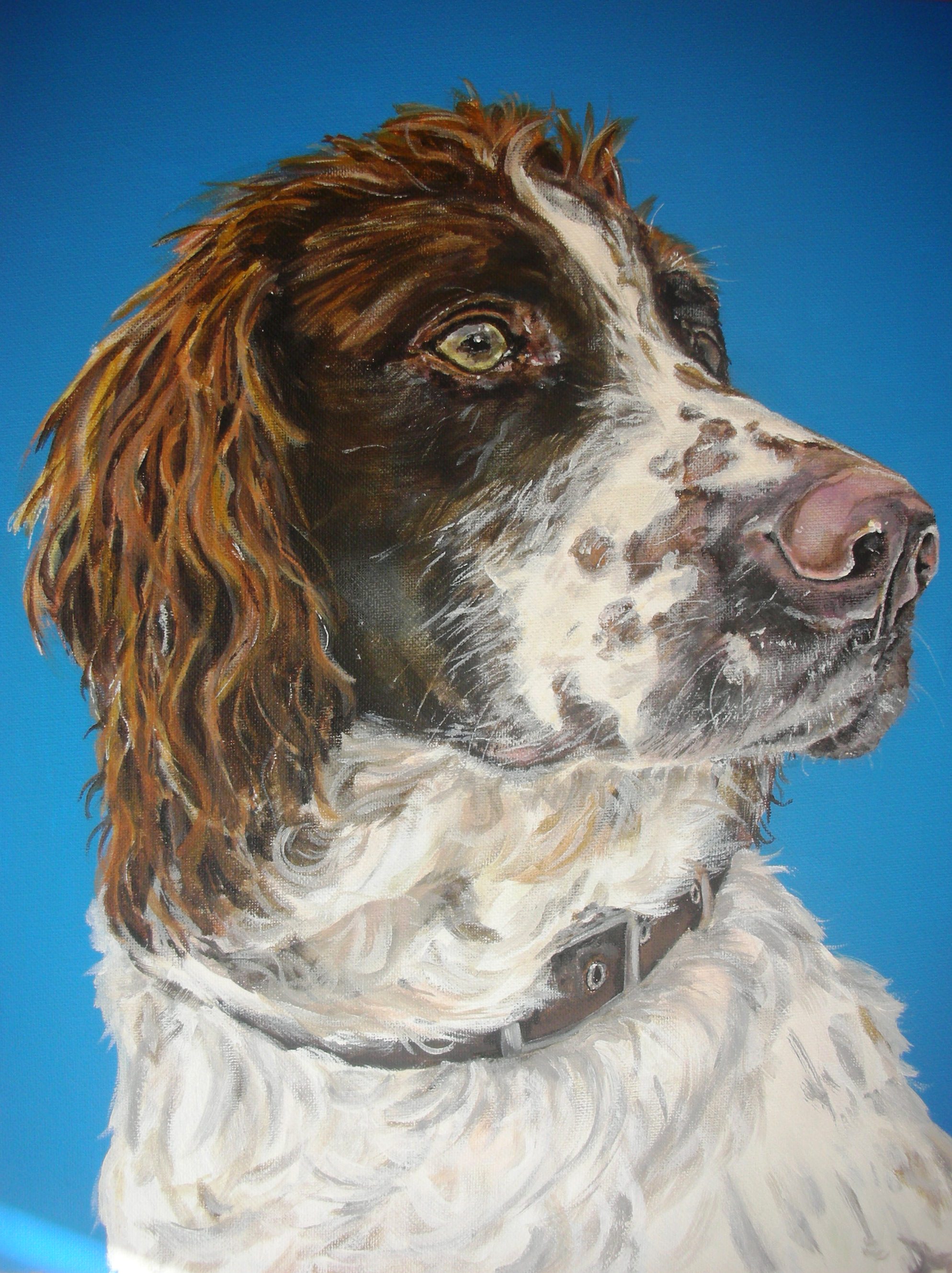 Quirky Animal Paintings | www.samfennerart.co.uk | Worcester