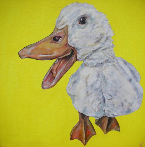 Quackers |Duck fine art print signed by Sam Fenner