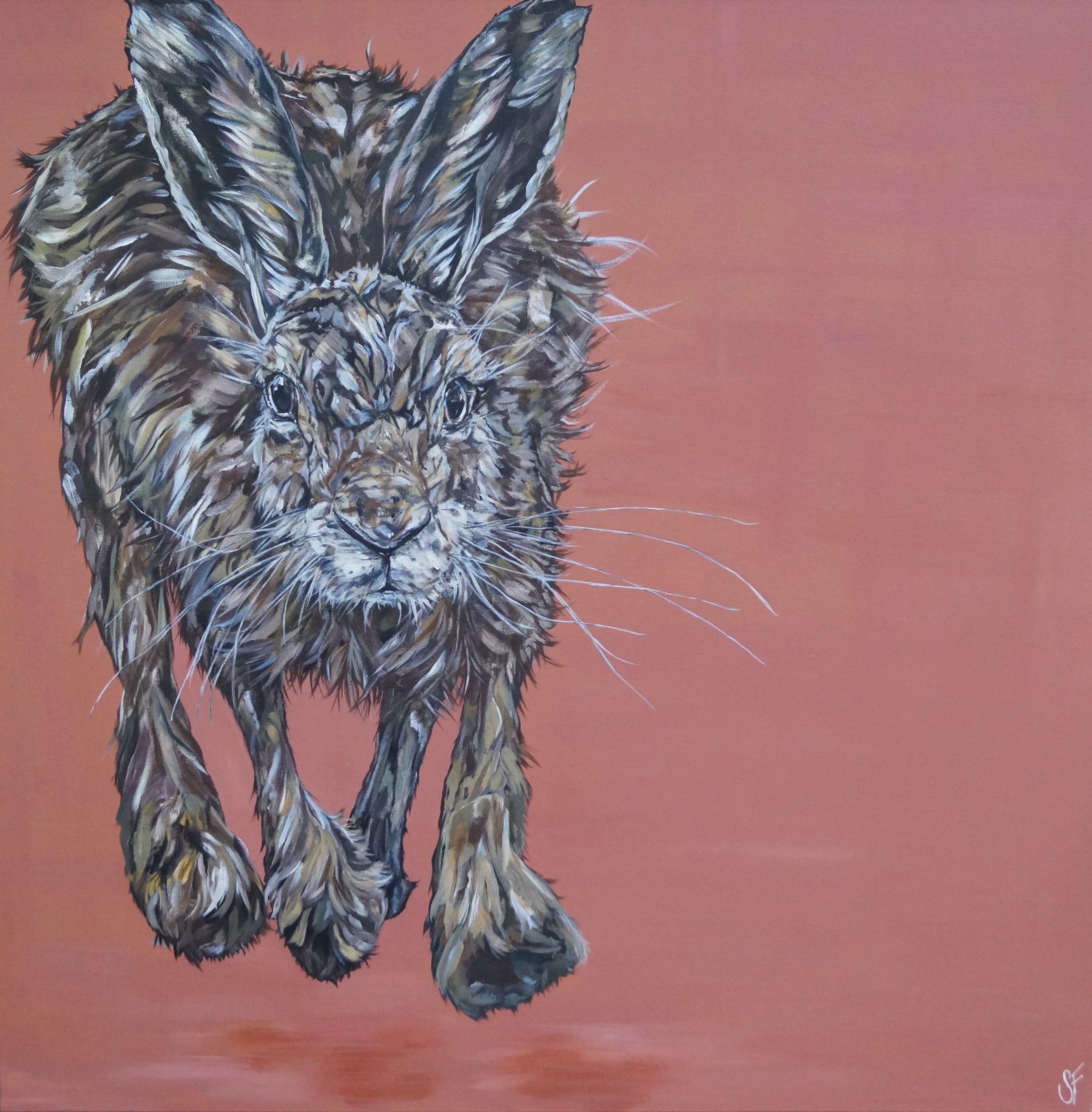 Quirky Animal Paintings | www.samfennerart.co.uk | Worcester