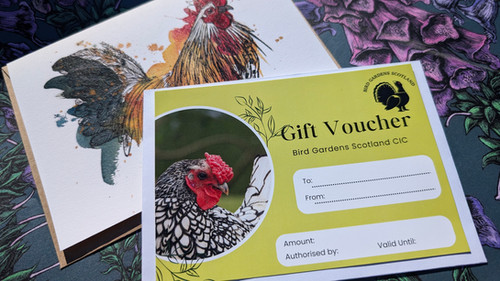 Gift Voucher | Bird Gardens
