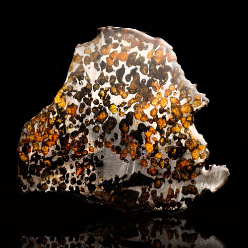 Sericho Pallasite Meteorite Slice // 181 Grams | Sacred Mine