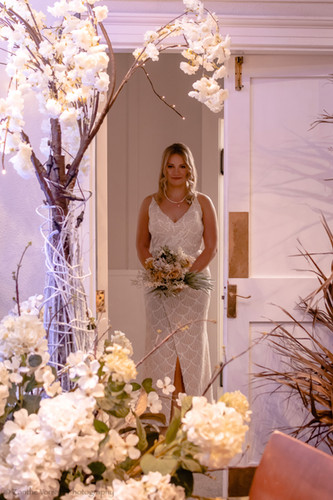 Blossom Tree (white leaves) | Stellar Backdrops