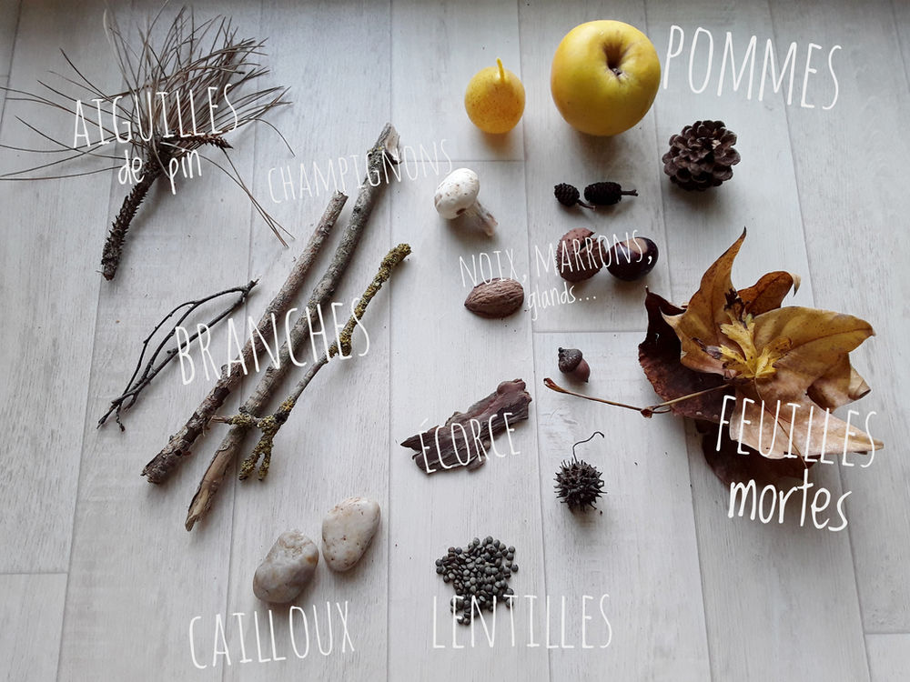 Bac sensoriel d'automne- La Bulle ô Mômes