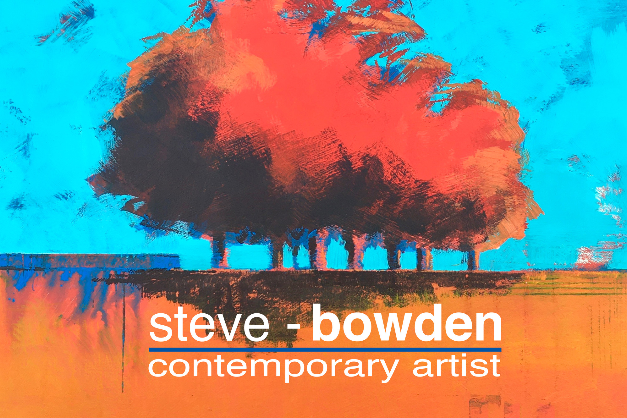 Contemporary artist | Www.stevebowden.co.uk