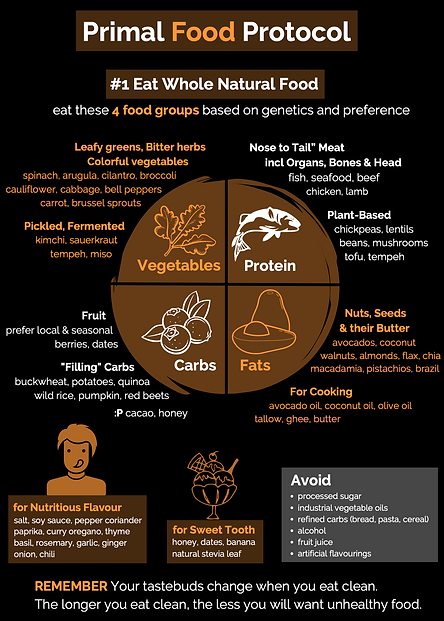Primal Protocol | Primal Meals Workshop