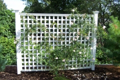 Trellis | Cape Cod MA | Profence