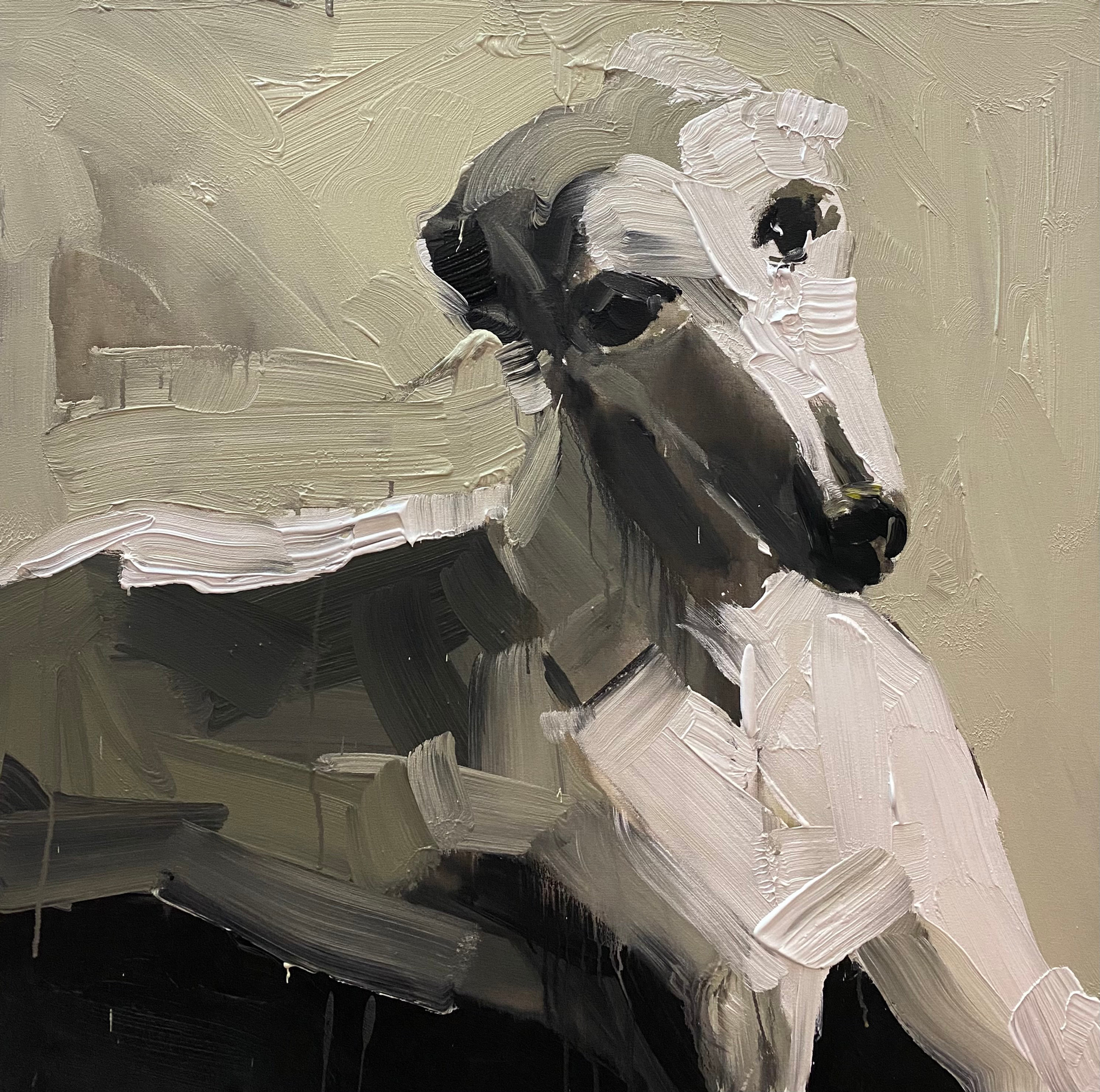 Dogs | Wiley Galleries