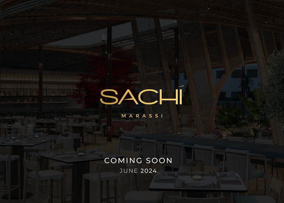 Sachi Restaurants | Best Restaurant in Egypt