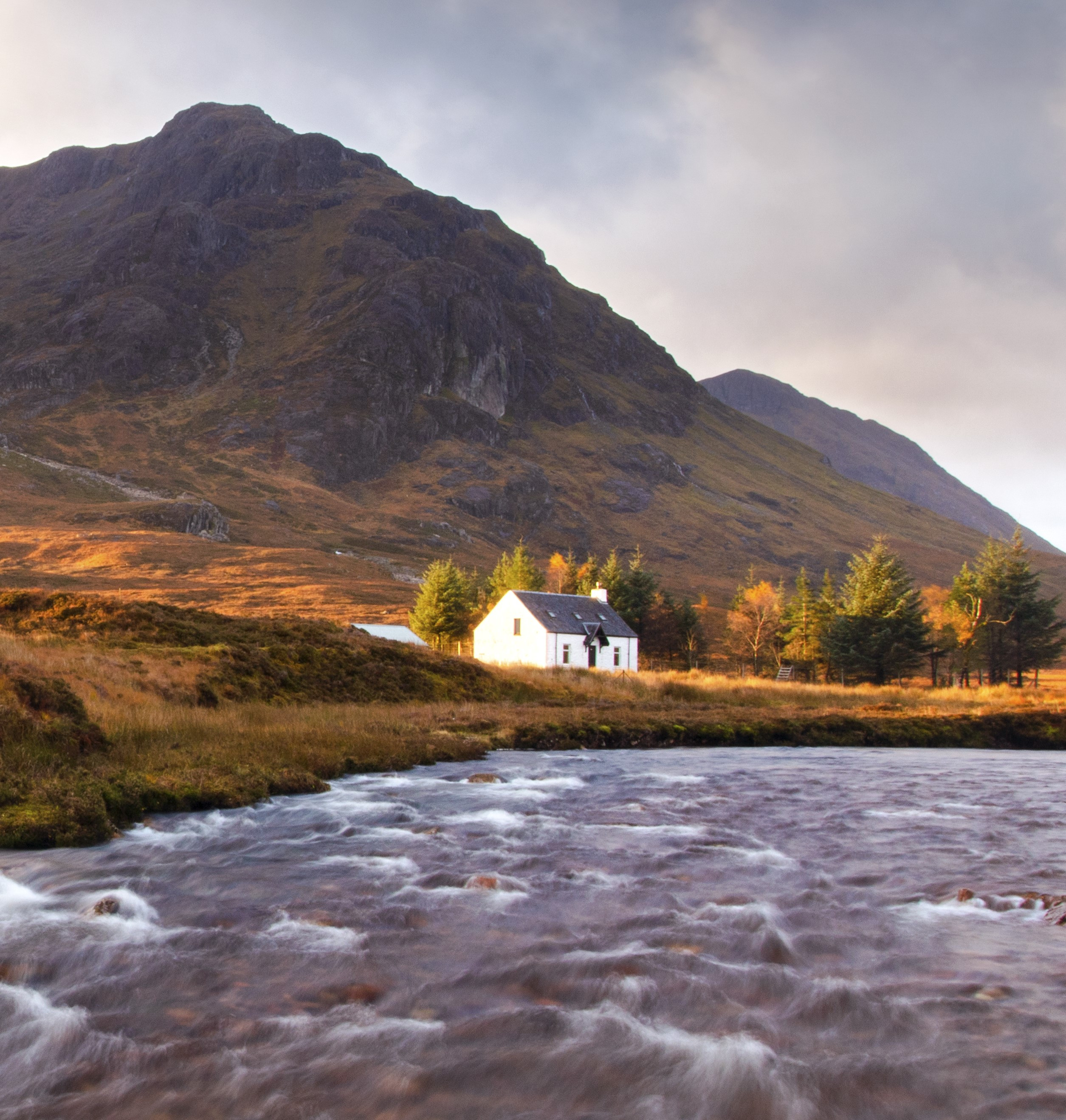 Strong back, soft front, wild heart