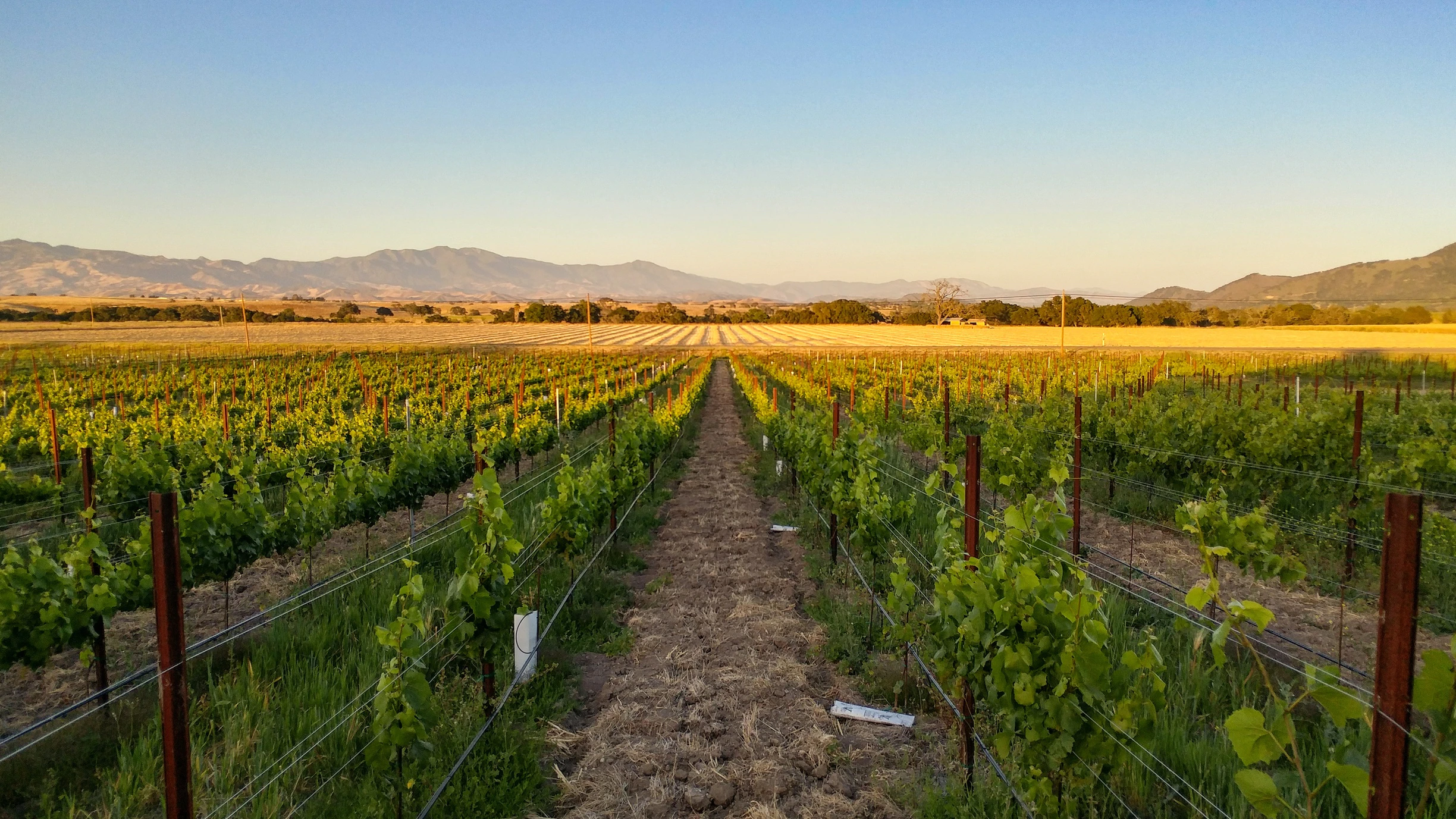 Solvang Road Cycling Camp | BaseCamp