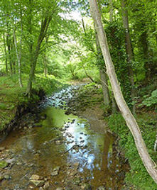 Mulgrave Woods | sandsend-history