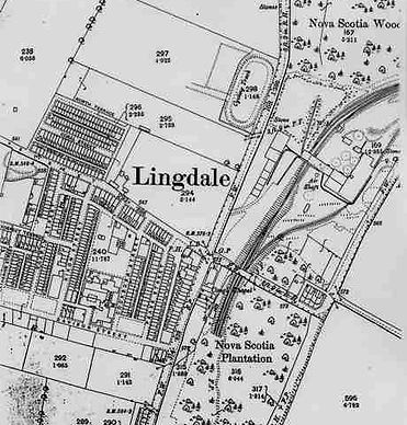 history | lingdalehistory