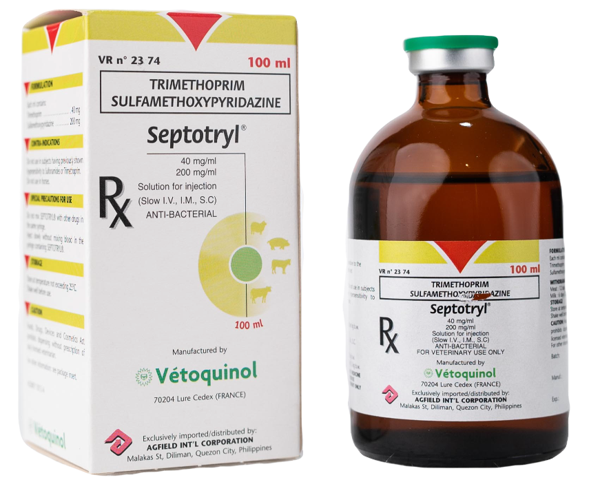 OTHER PRODUCTS | VAXILIFE CORPORATION