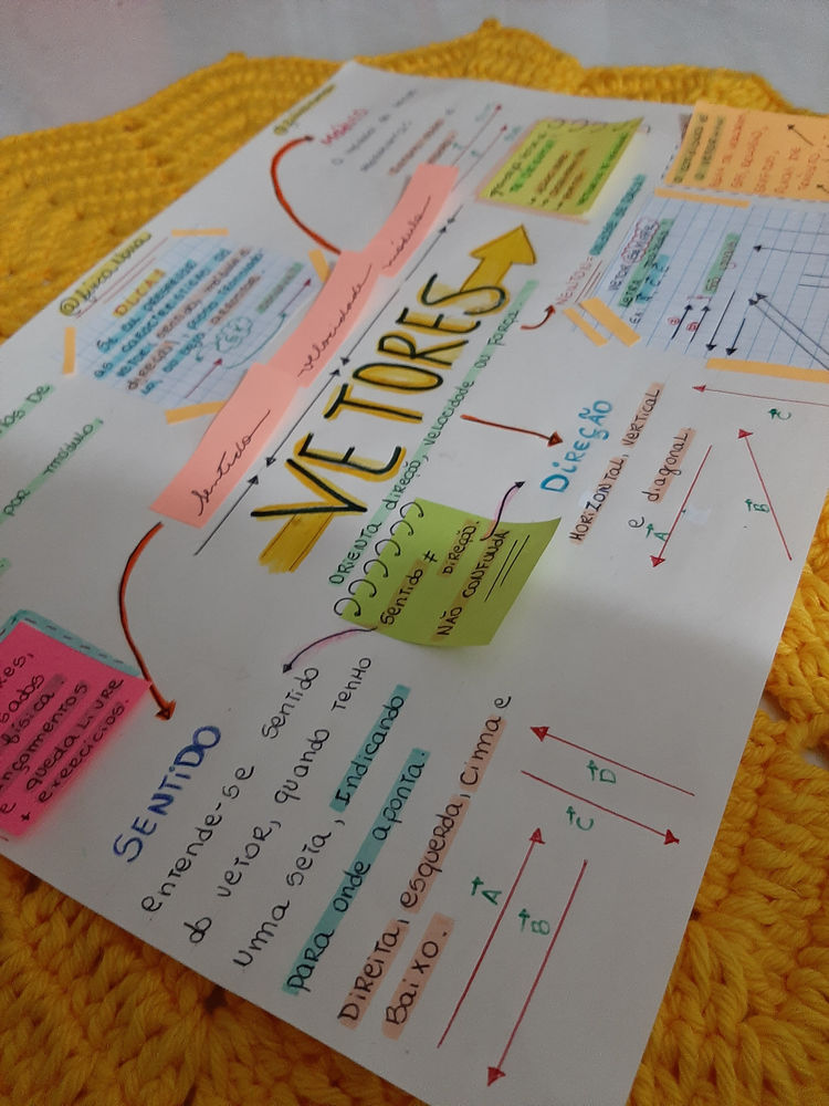 MAPA MENTAL: VETORES