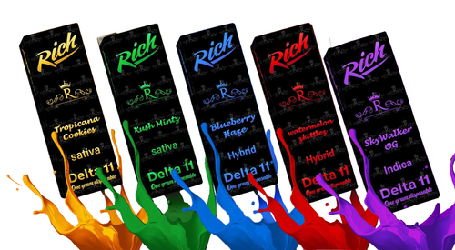 Delta 11 Disposable (1gram)- Rich Brand | Delta8THCAustin