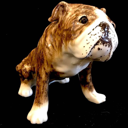 Winstanley Large Bulldog | Strichen Antiques