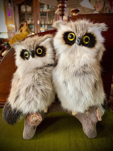 Fur owl: Adorable Vintage Rabbit Fur Covered Owls Cuddled on a Branch ...