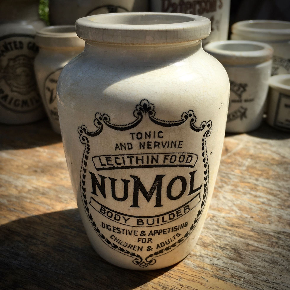Victorian ‘Numol Lecithin Food’ Clay Pot | Strichen Antiques