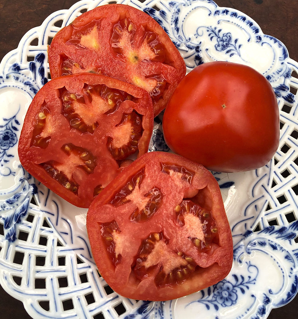 Tomatoes | Roughwood Seed