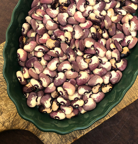 Speckled Saba (Speckled Bushel Bean) | Roughwood Seed