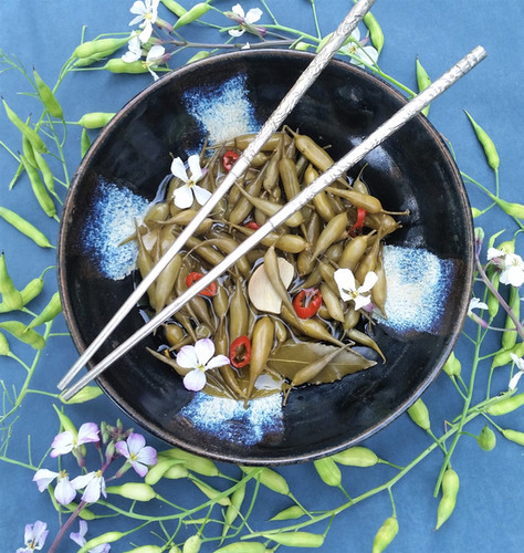 Madras Podding Radish | Roughwood Seed