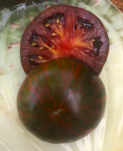 Chocolate Stripes Tomato | Roughwood Seed