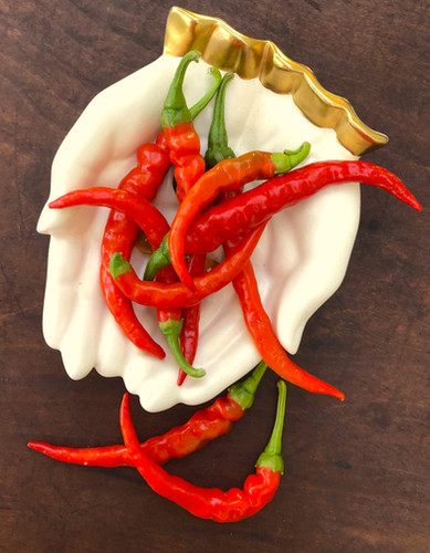 Chile de Arbol (Chile de Rata) | Roughwood Seed