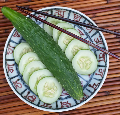 Chinese Black Cucumber | Roughwood Seed